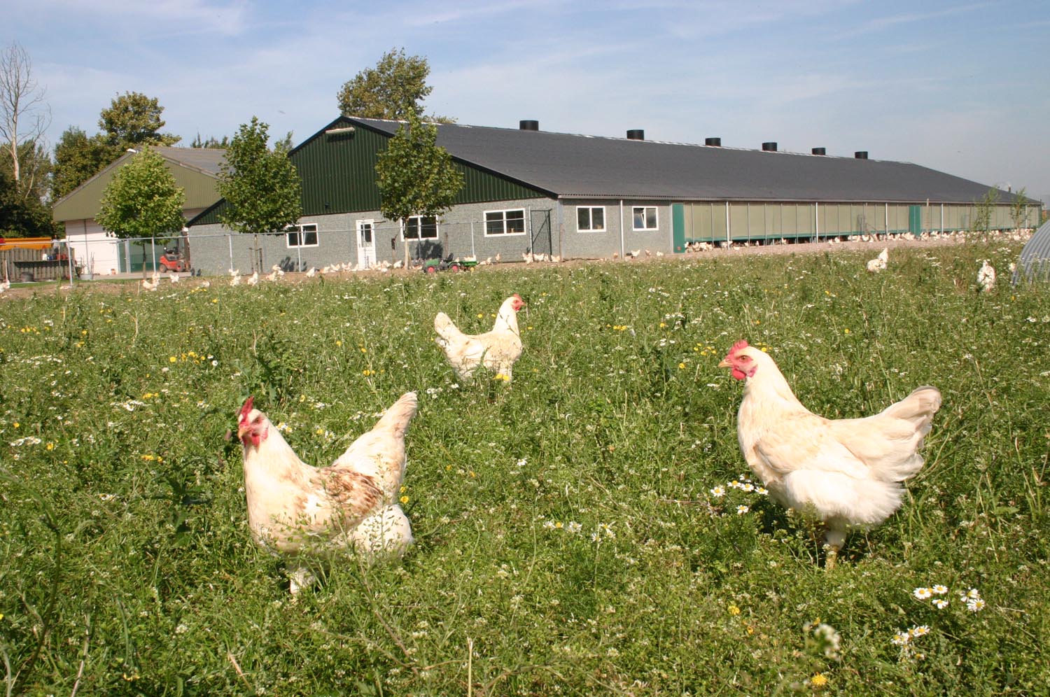 Impressum | Moos-Butzen